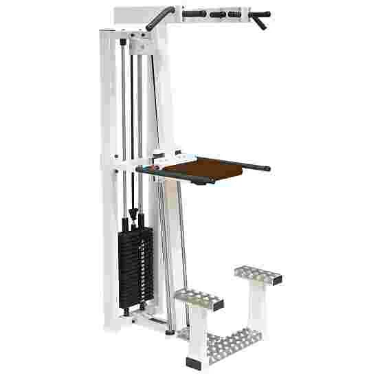 Sport-Thieme "SQ" Pull-Ups/Dips Machine New Series On Sale | Free ...